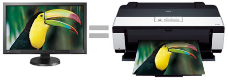 EIZO EasyPIX | EIZO