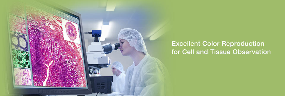Healthcare Pathology | EIZO